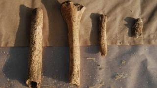 What happens if you find human remains in your garden? - BBC News