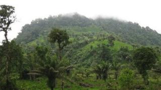 Ecuador seeks answer to riddle of Inca emperor's tomb - BBC News