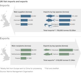 The great British fish swap - BBC News