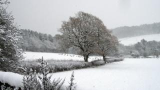 Your photos of the snow - BBC Weather
