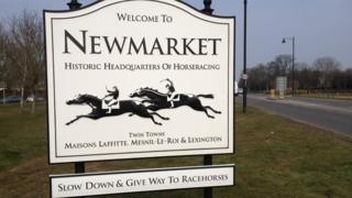 Newmarket: Photos of the gallops, racecourse and stud - BBC Sport
