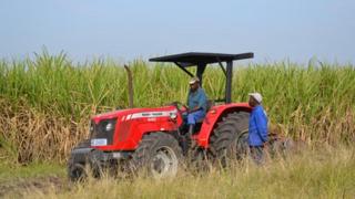 South Africa approves land expropriation bill - BBC News