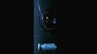 Limpet teeth set new strength record - BBC News