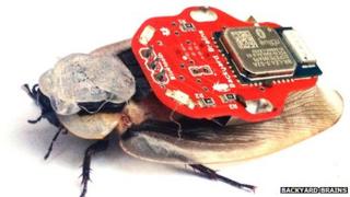Row over US mobile phone 'cockroach backpack' app - BBC News