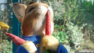 Peter Rabbit: Why the Japanese love Beatrix Potter - BBC News