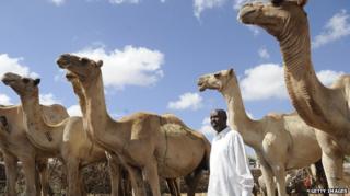 Somaliland profile - full overview - BBC News
