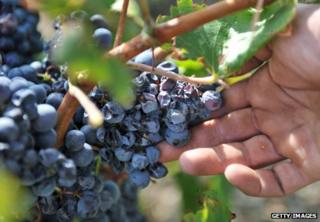 The global wine drought that never was - BBC News