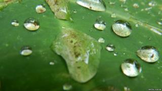 Your pictures: Rainfall - BBC News
