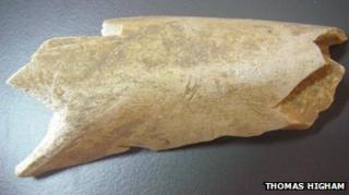 New dates rewrite Neanderthal story - BBC News