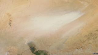 Ancient African fish dust nourishes Amazon - BBC News