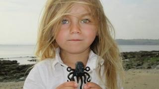 Lego lost at sea exhibition at Royal Cornwall Museum - BBC News