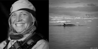 In pictures: In Shackleton's footsteps - BBC News