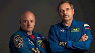 Ants in space grapple well with zero-g - BBC News
