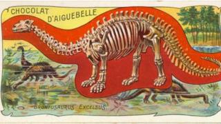 Brontosaurus dino name is revived - BBC News