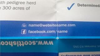 Election 2015: "Misstakes and mispellings" - BBC News