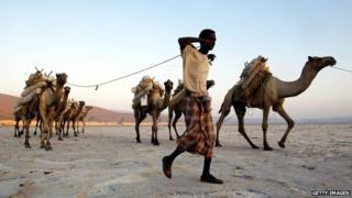 Djibouti profile - full profile - BBC News