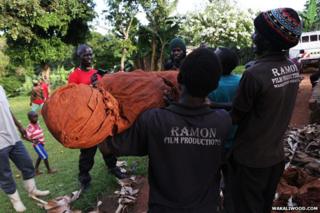 Uganda’s Tarantino and his $200 action movies - BBC News