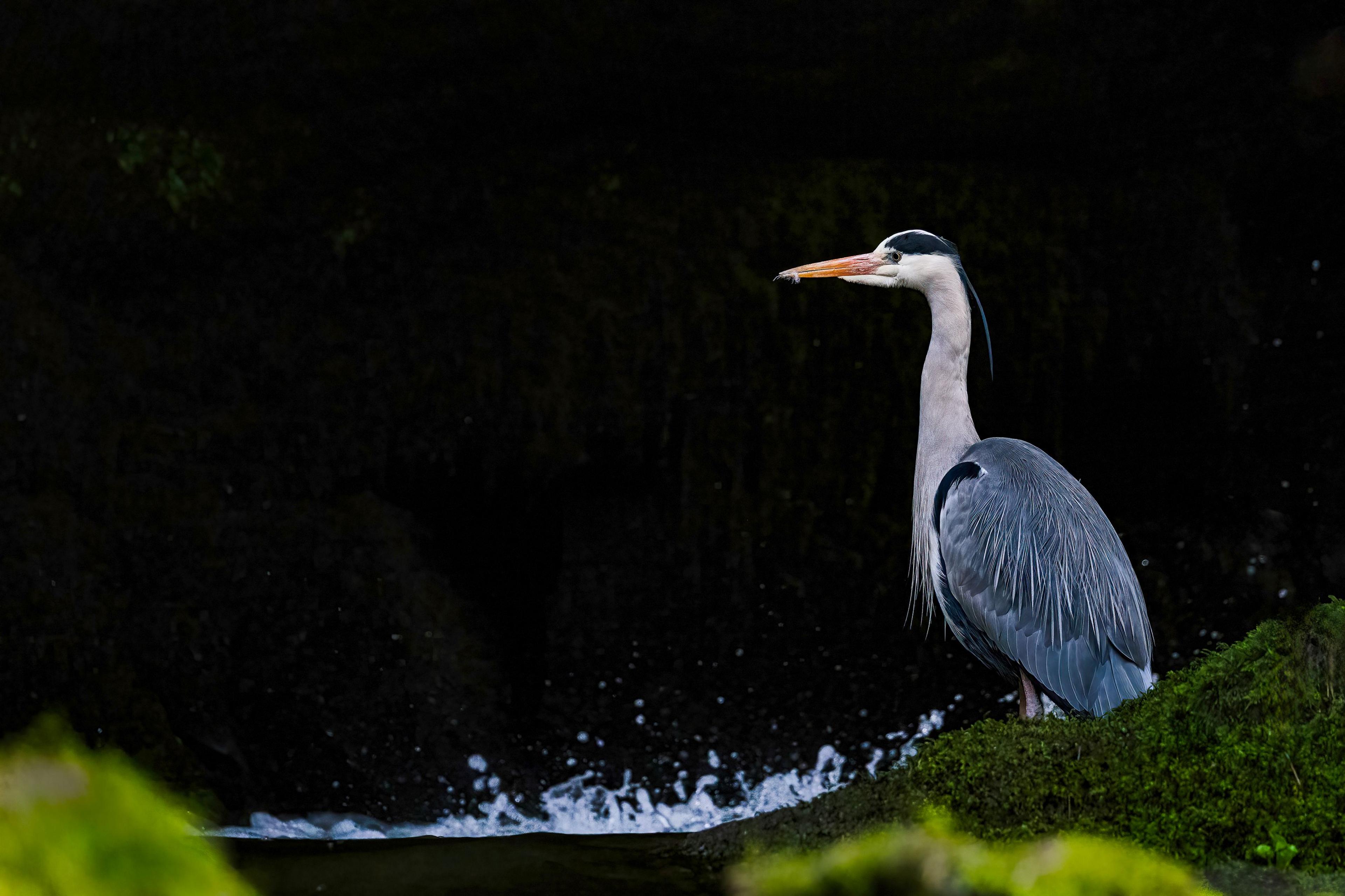 Your pictures of Scotland: Photographs from around the country - BBC News