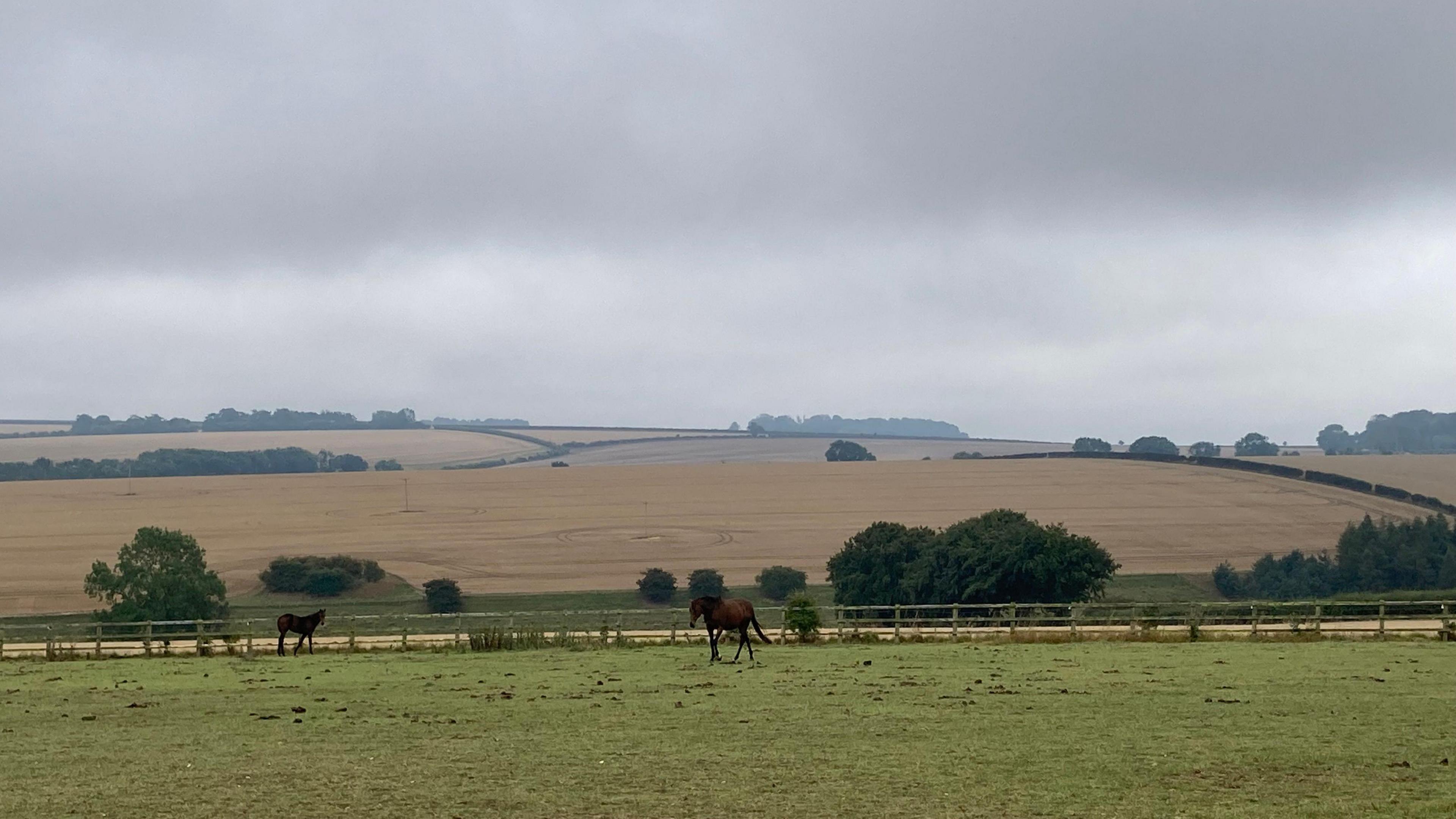 Yorkshire Wolds new geological map of what lies beneath - BBC News