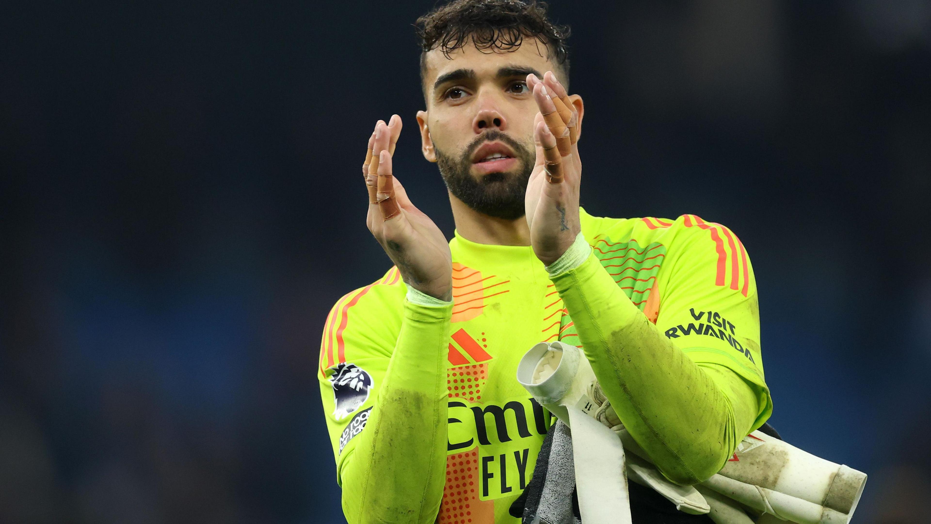 Arsenal news: David Raya 'one of best' - Paul Robinson - BBC Sport