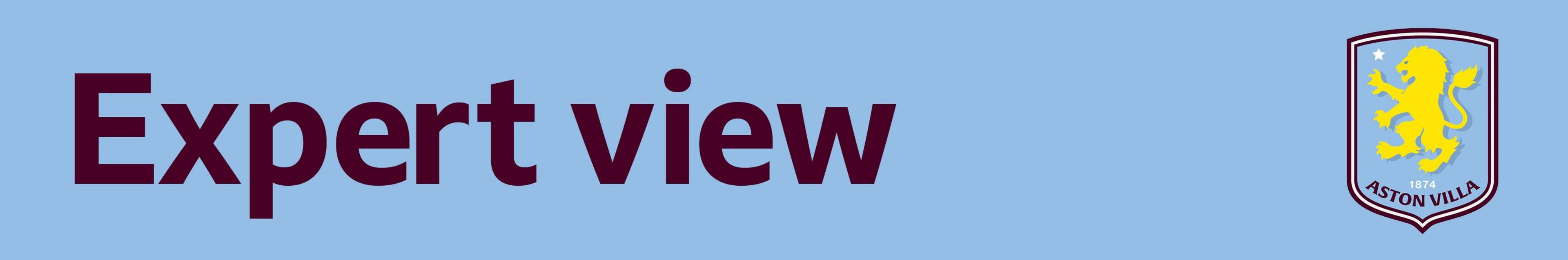 Aston Villa news: Opinion - Mike Taylor on transfer window - BBC Sport