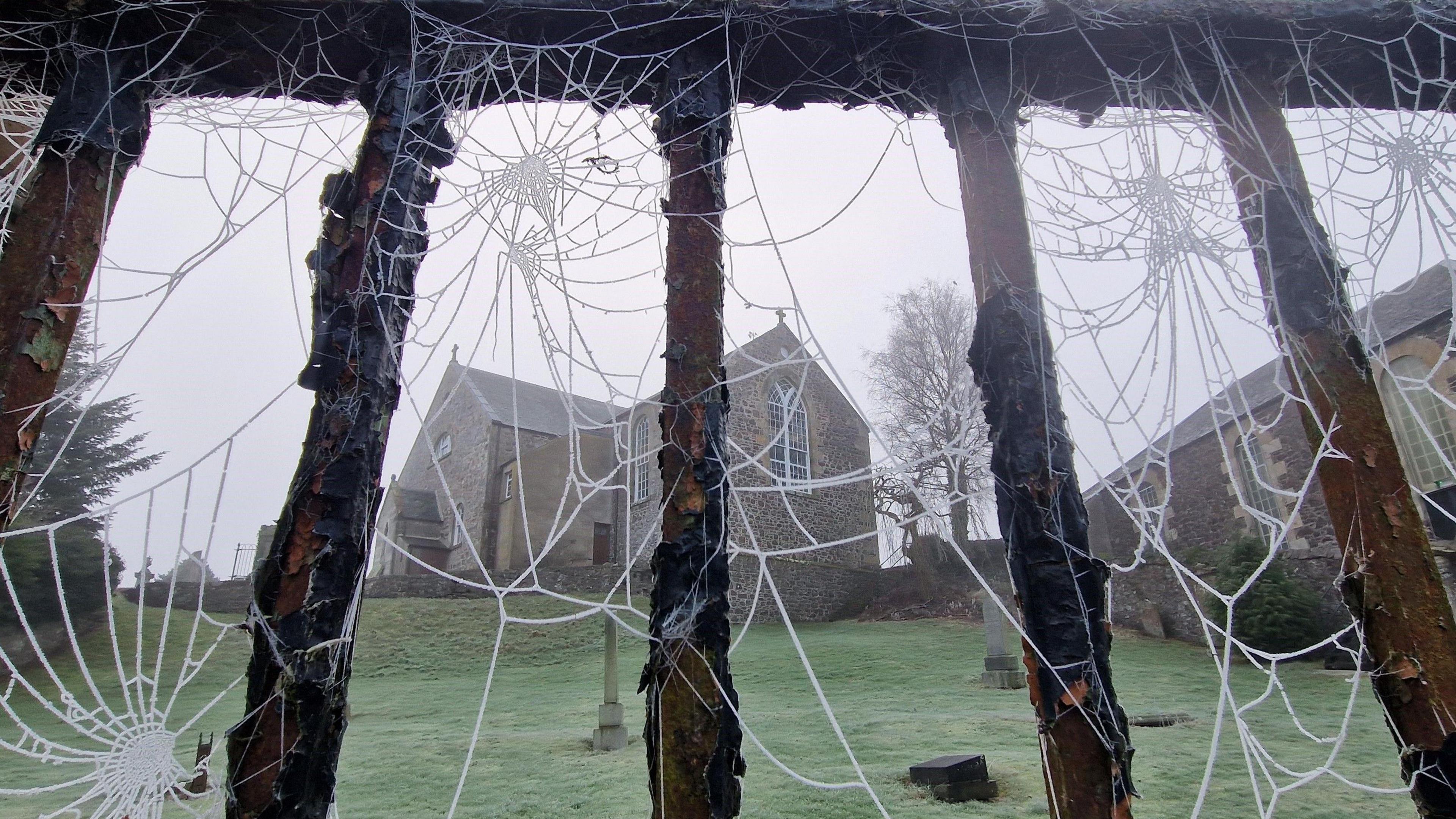 Your pictures of Scotland: Photographs from around the country - BBC News