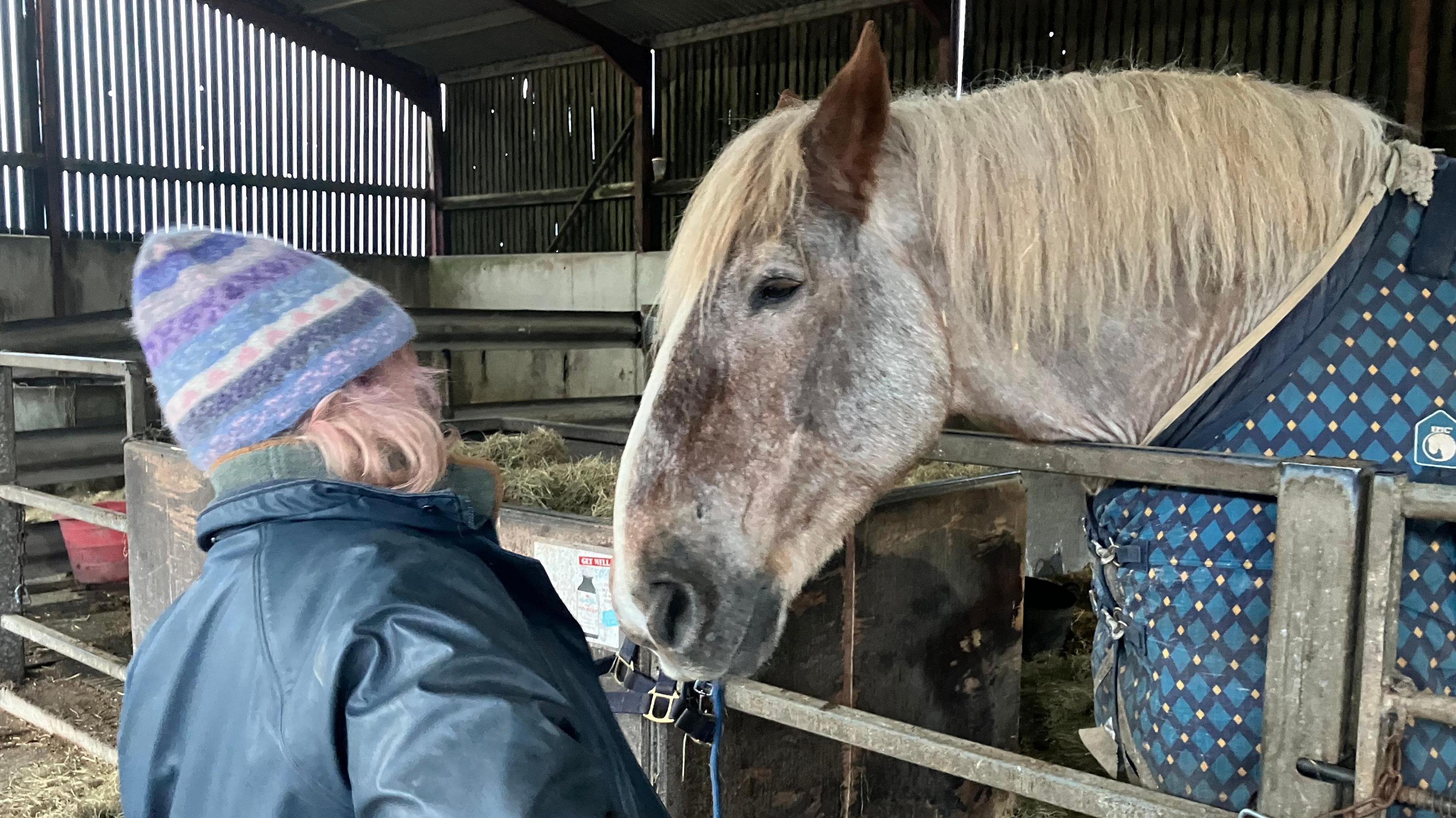 Cumbrian Heavy Horses riding centre under threat of closure - BBC News