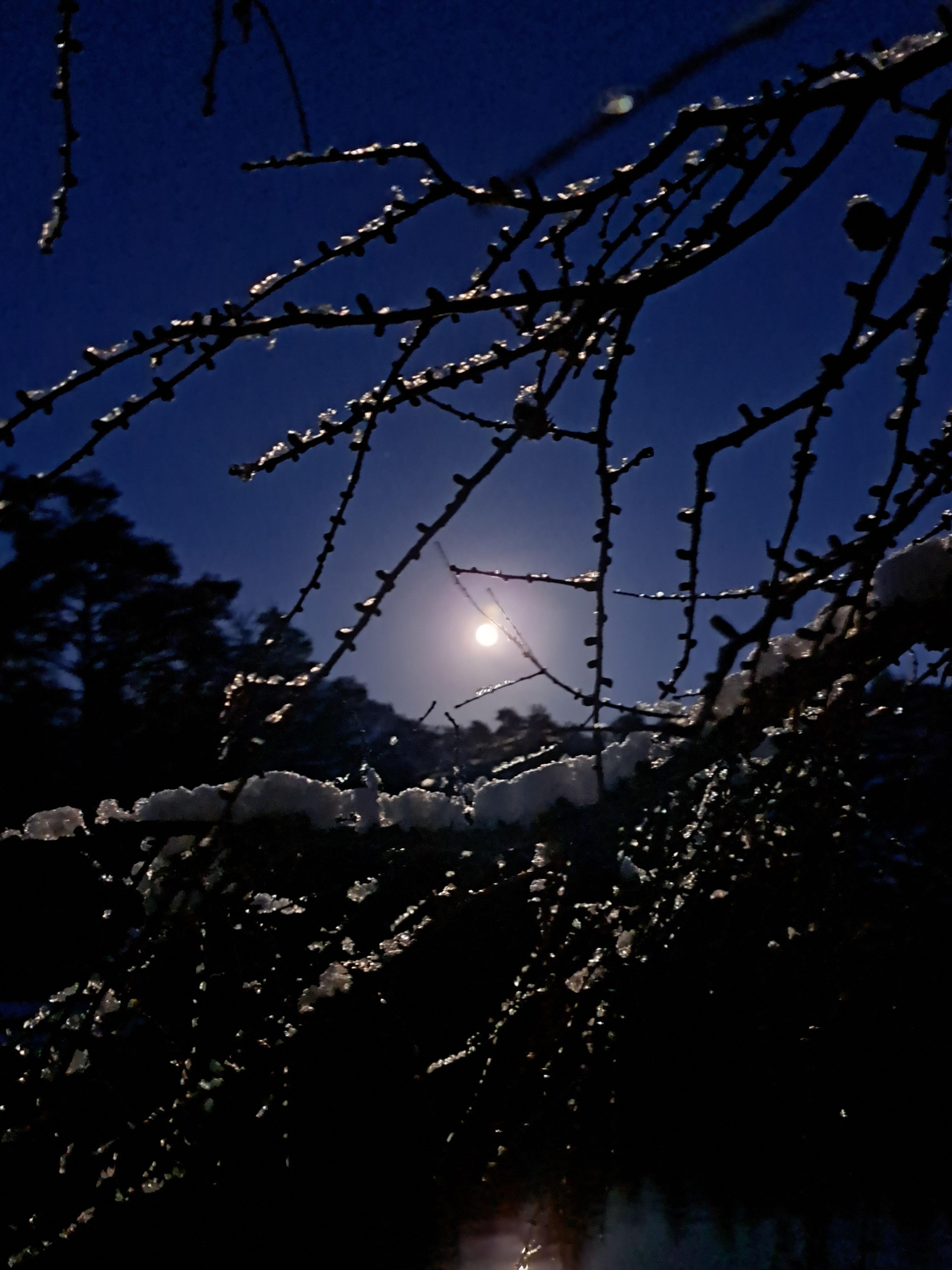 In pictures: Cold Moon over Scotland - BBC News
