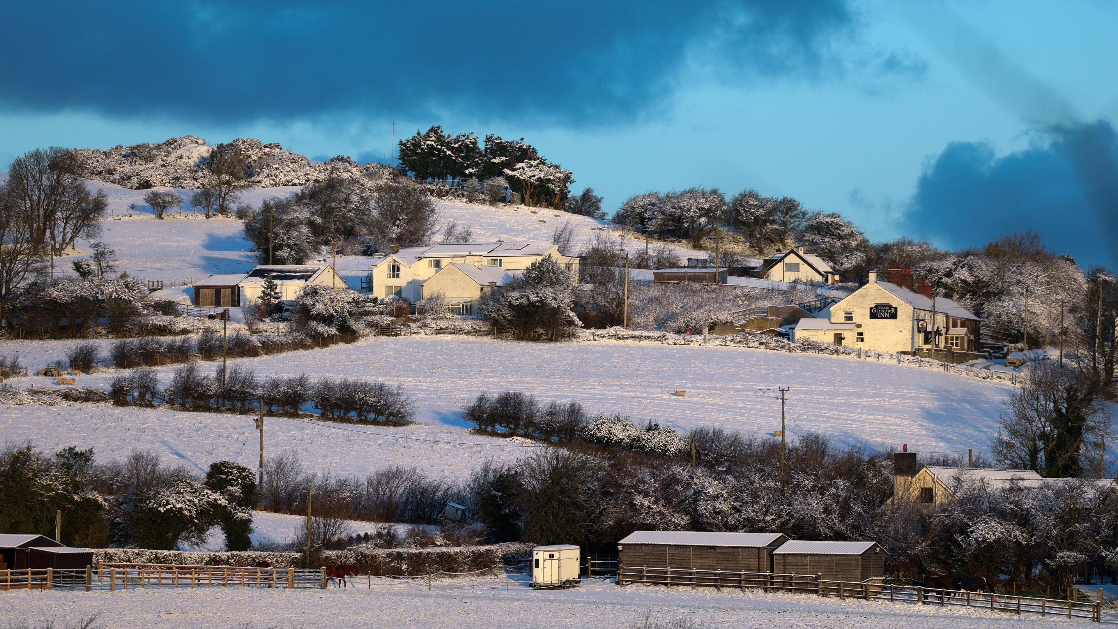 Has it snowed where you live? - BBC Newsround