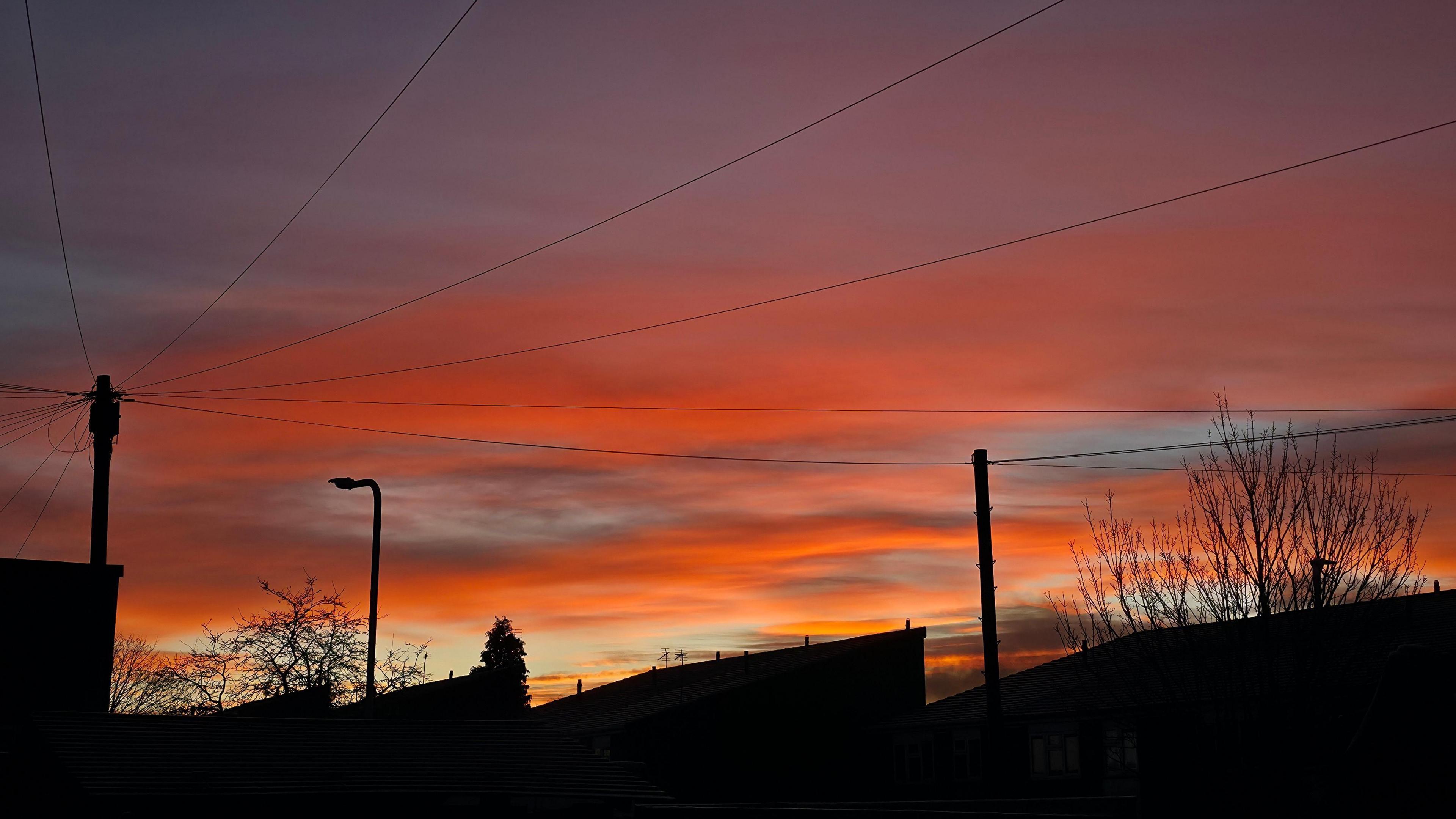 Your photos from the West Midlands: Icy squirrels and the first ...