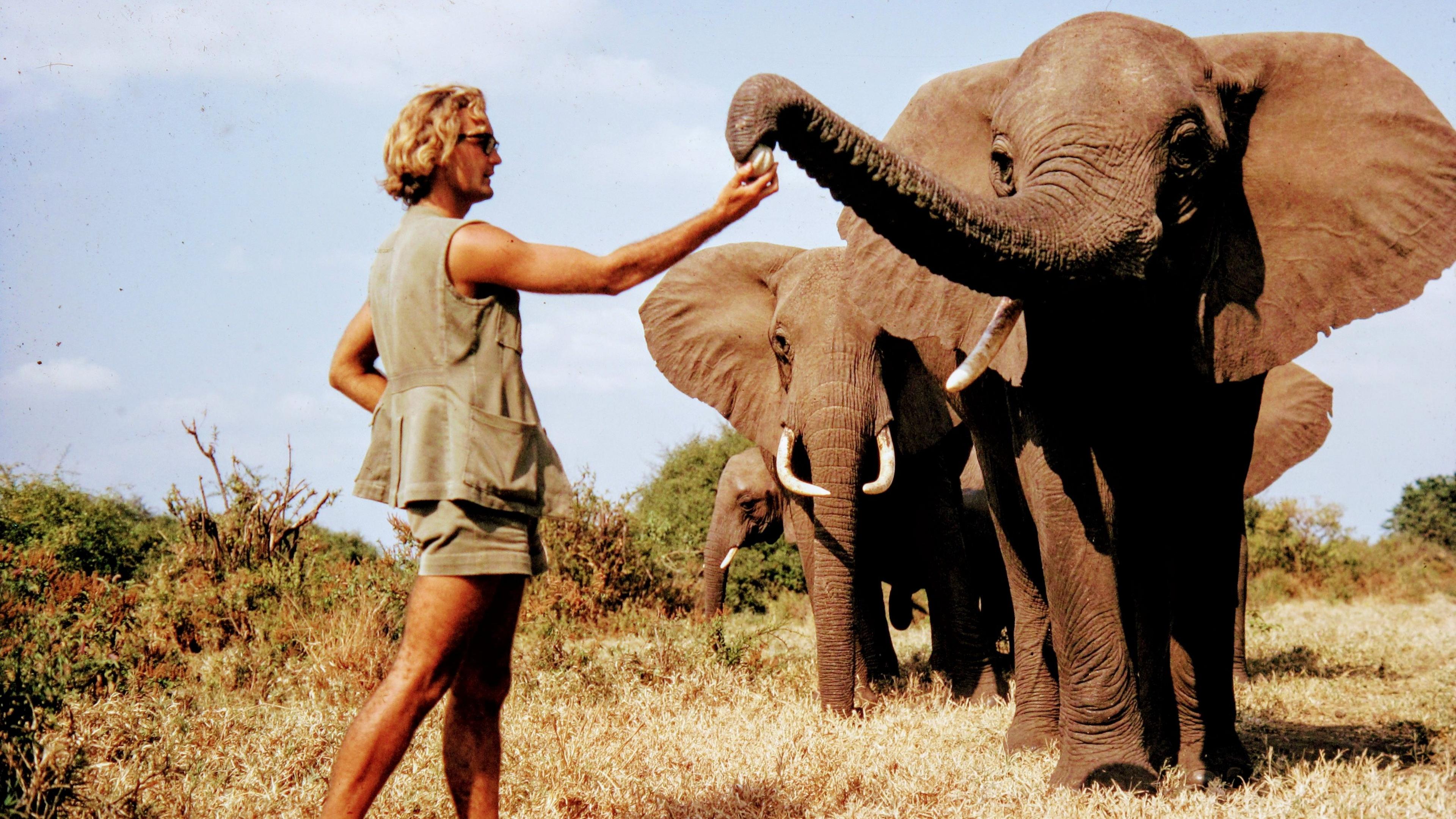 Iain Douglas-Hamilton, pioneering elephant conservationist, dies aged ...