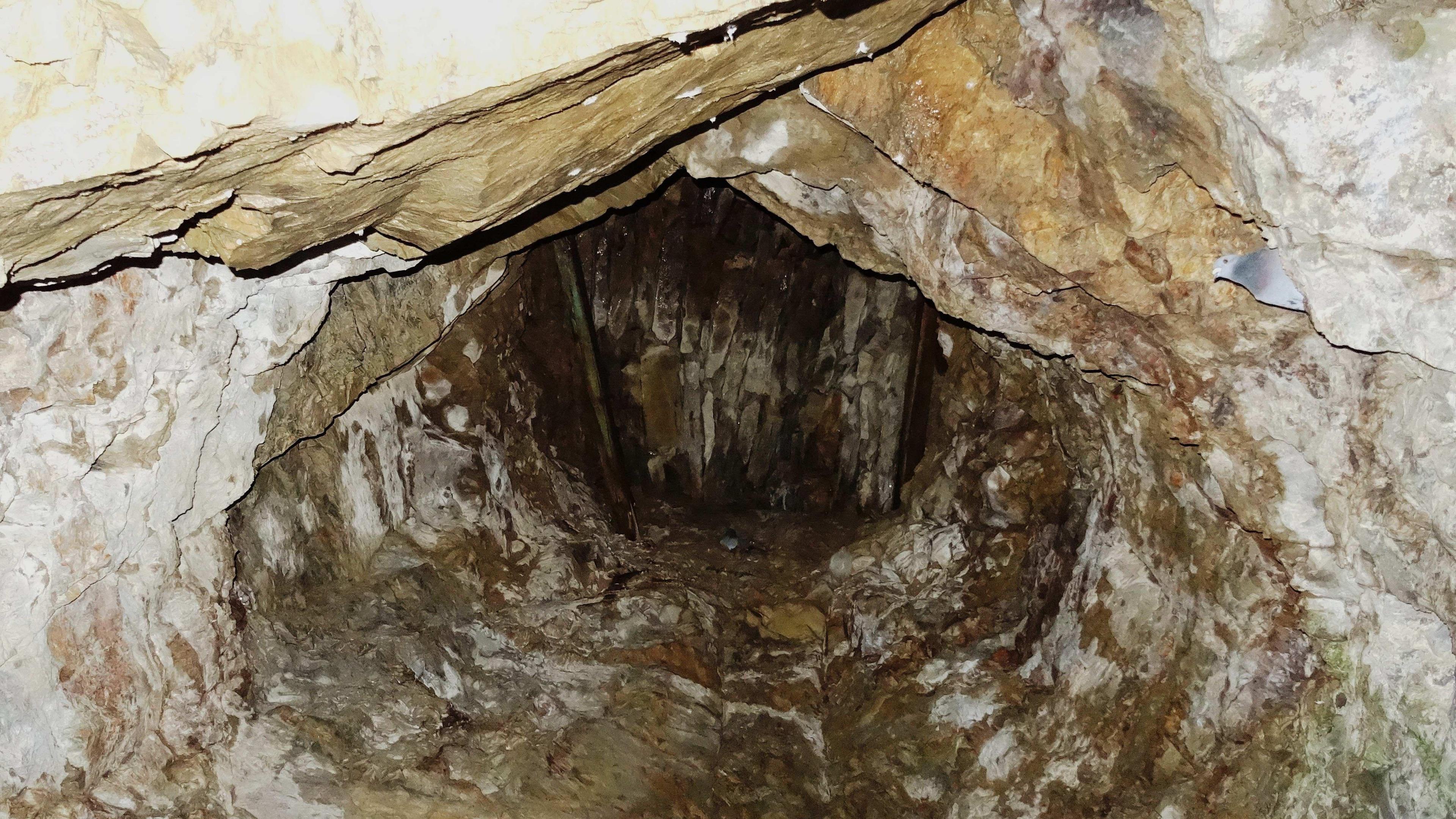 Rotting timbers and rain cause mineshaft collapses in Cornwall - BBC News