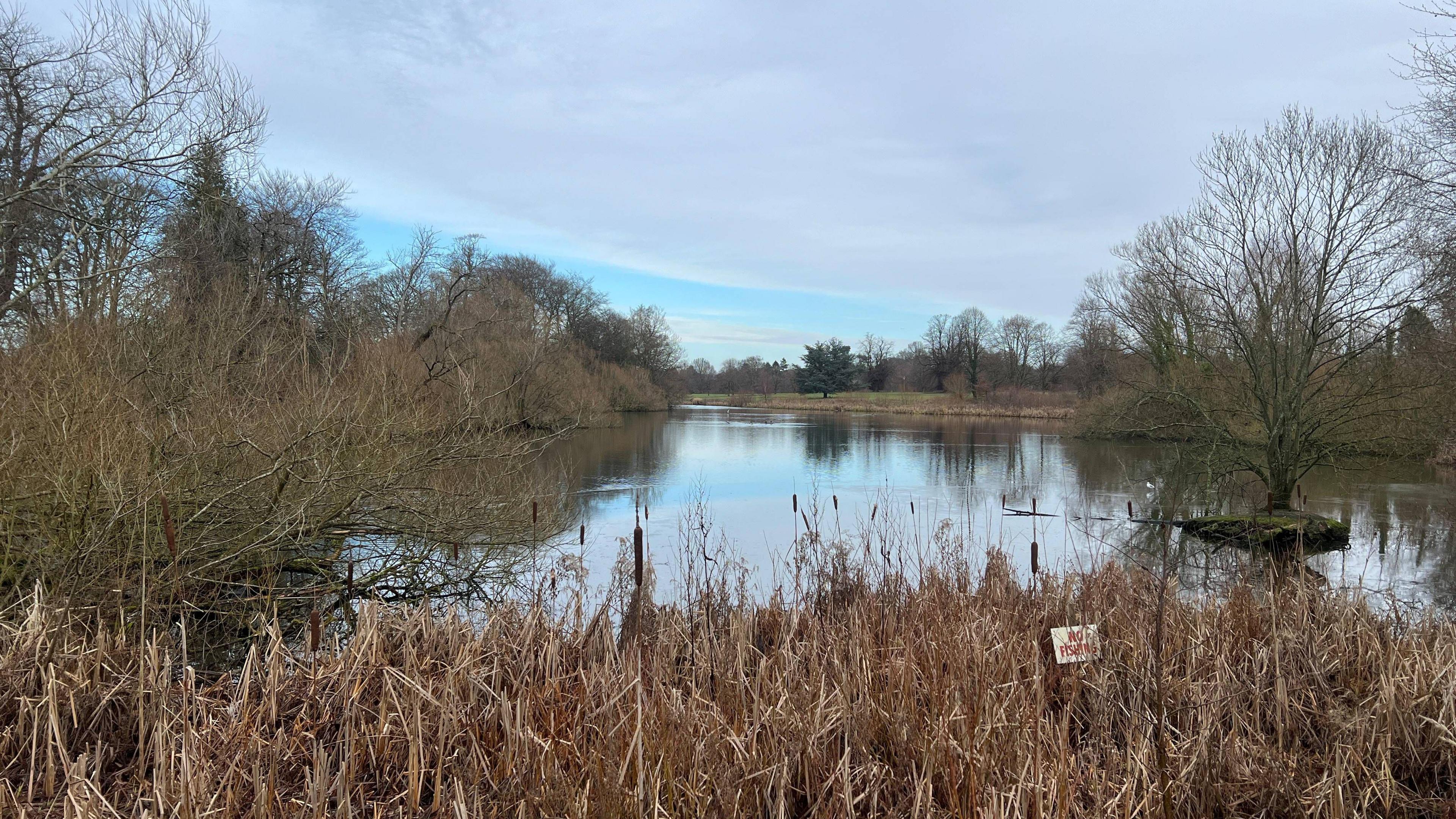 Poynton Pool: Planned removal of trees from beauty spot rejected - BBC News