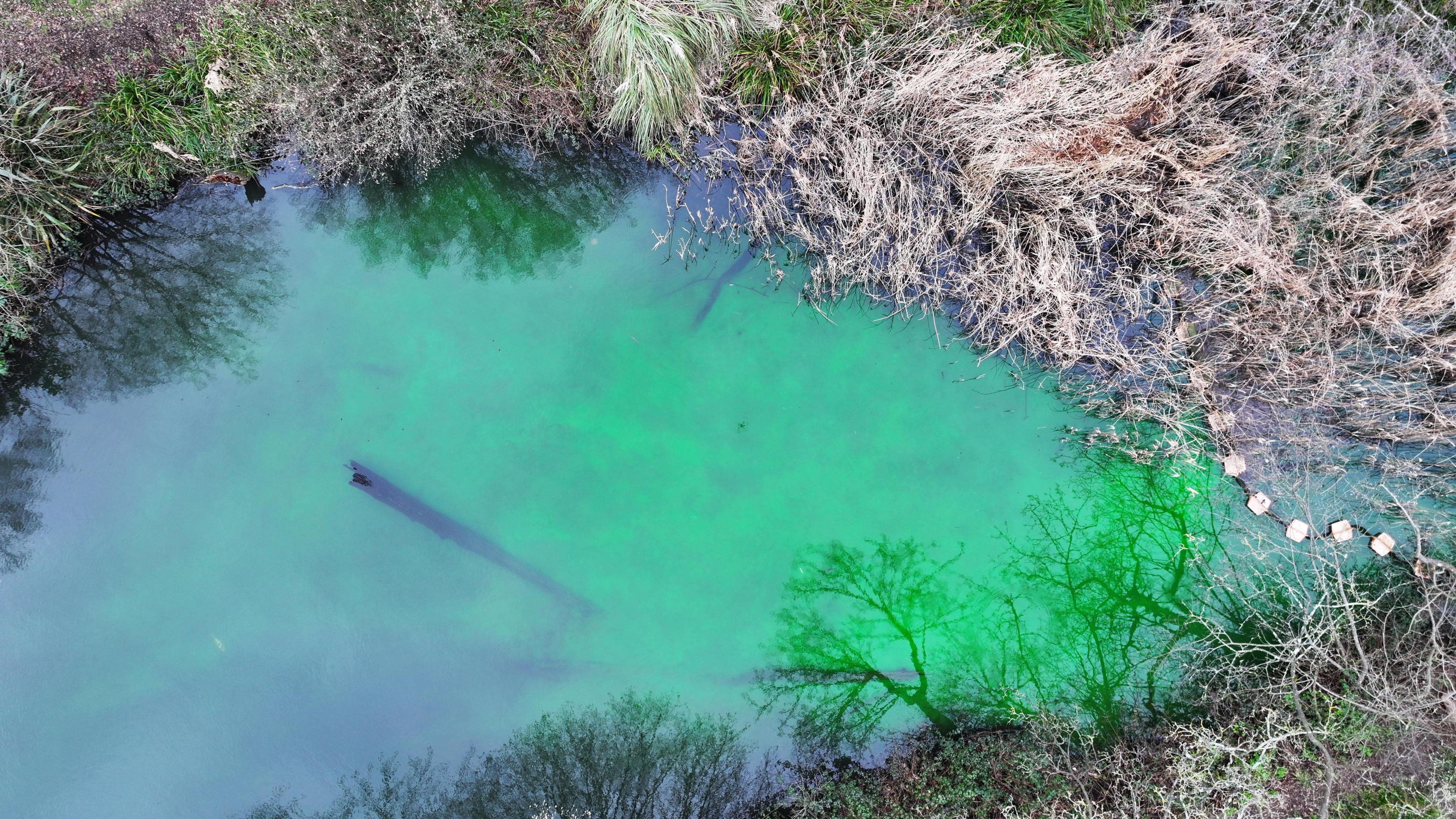 Stream in Horsham turns bright green from ‘harmless dye’ - BBC News