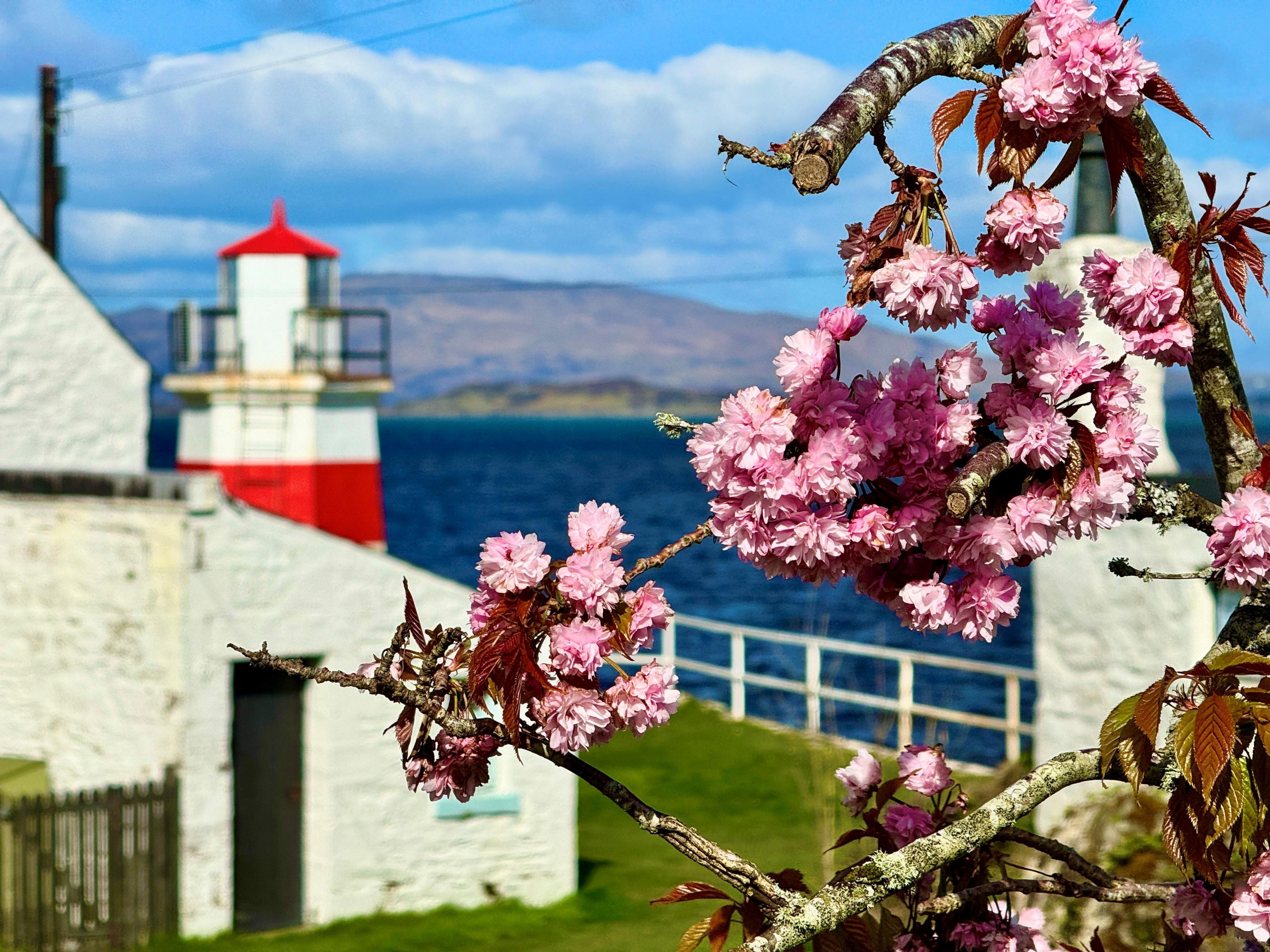 Your pictures of Scotland: 12 - 19 April - BBC News