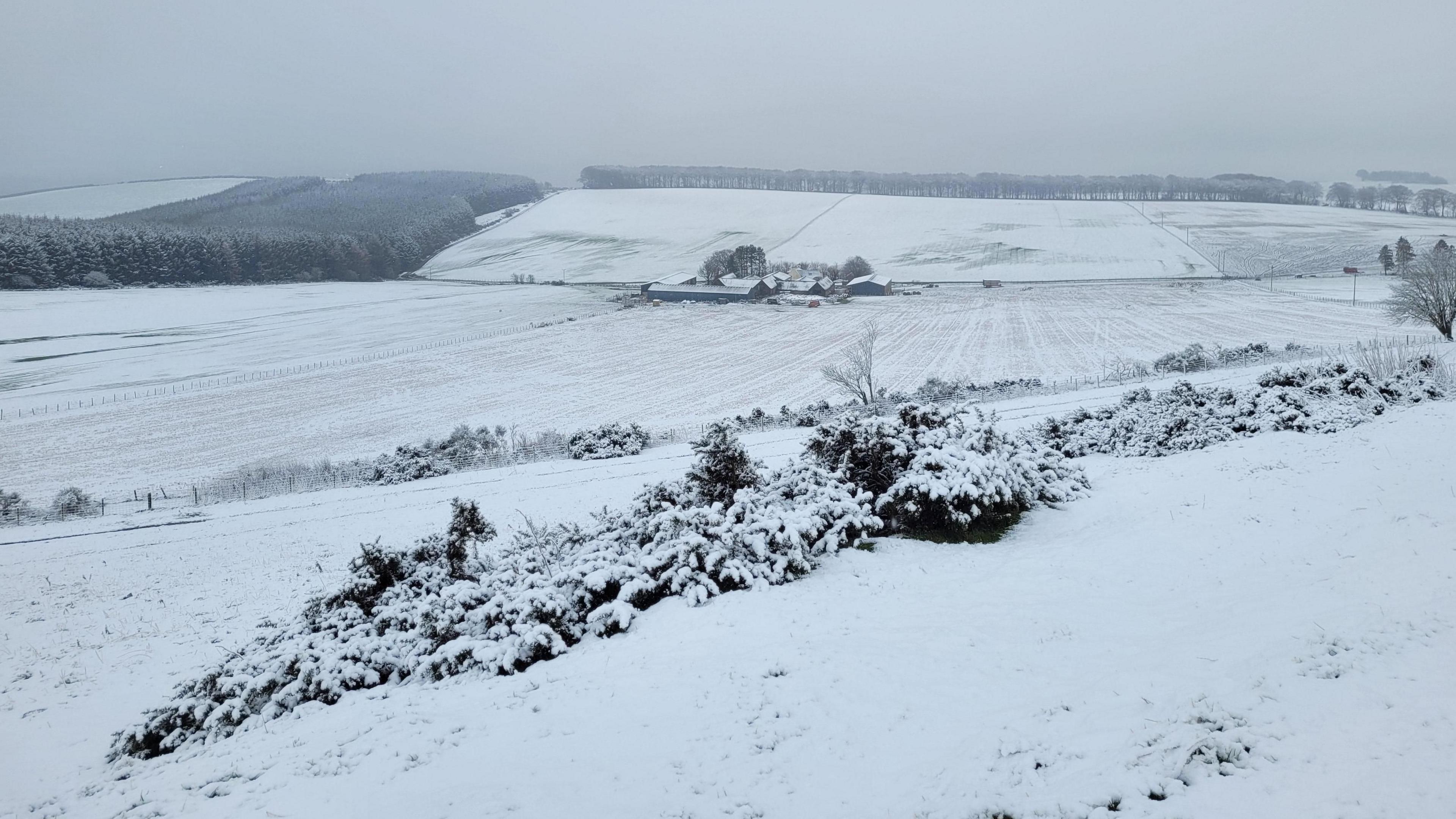 Snow hits parts of Scotland during weather warnings - BBC News