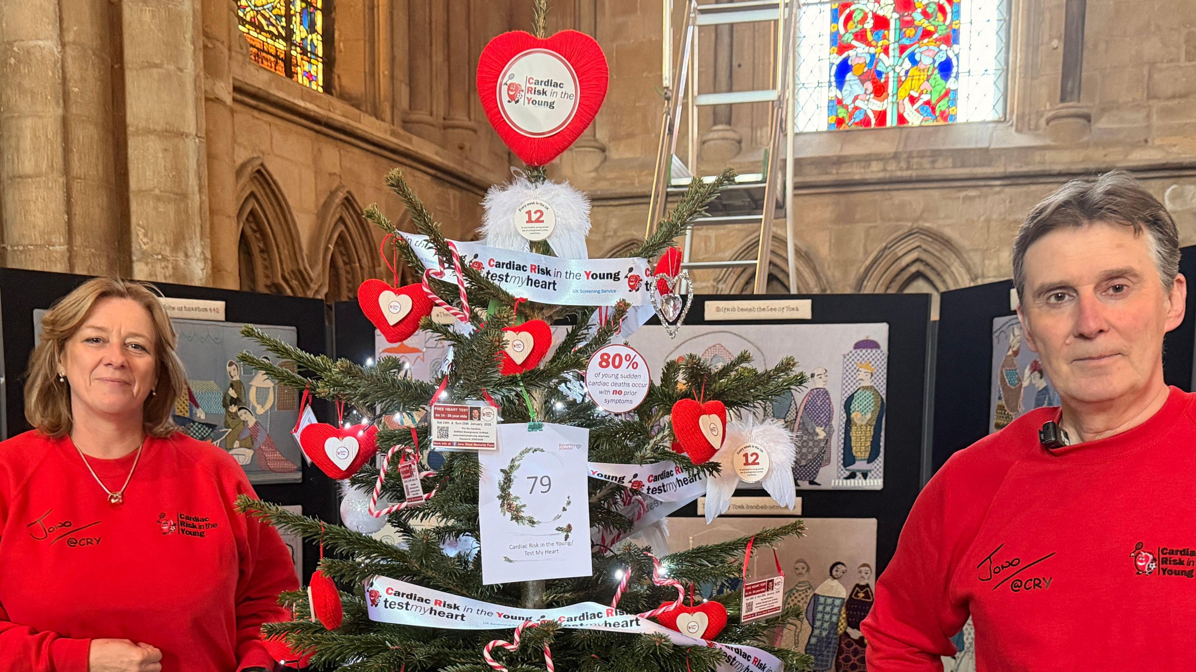 More than 150 trees at Beverley Christmas Tree Festival - BBC News
