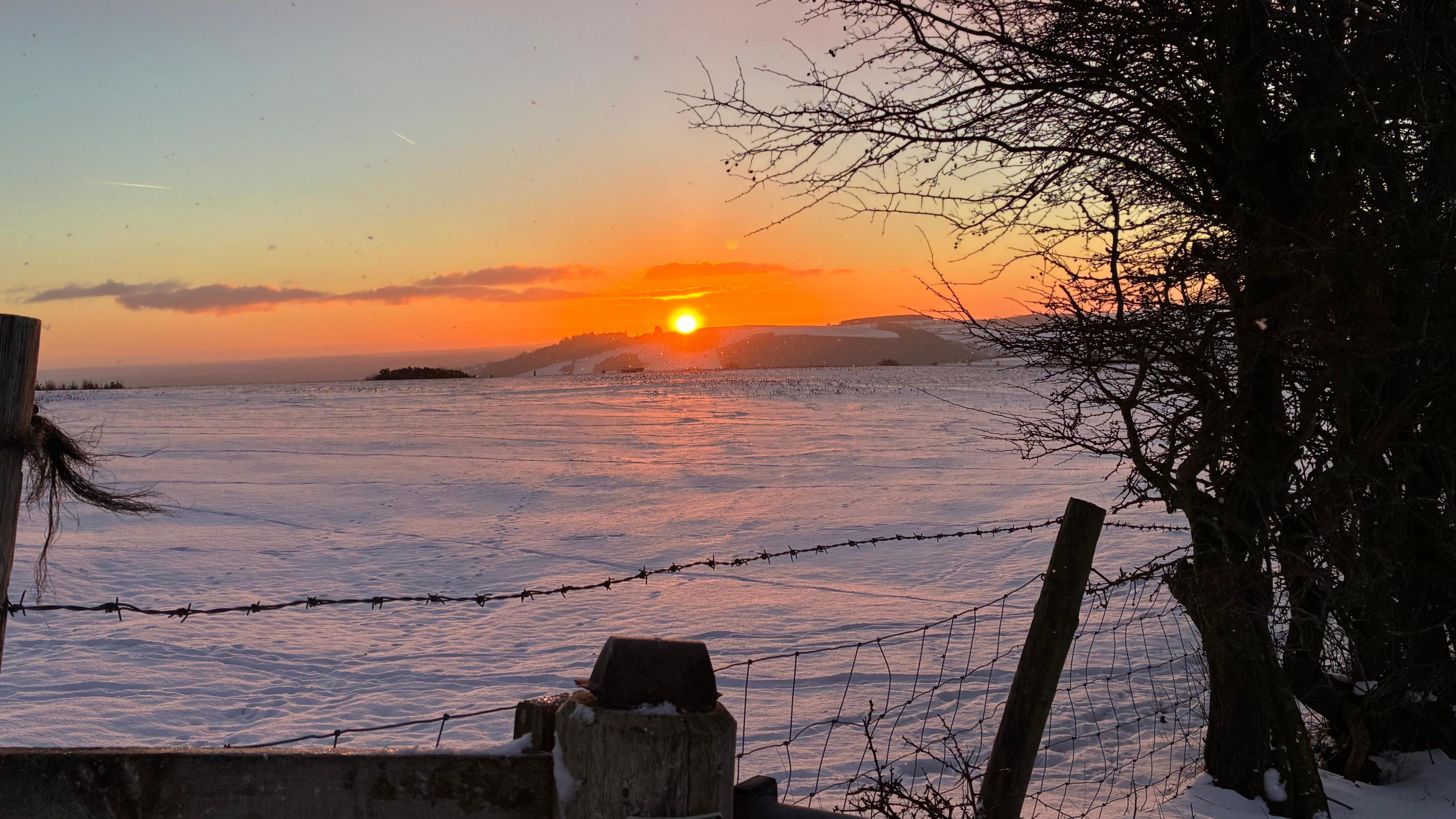 Rhybudd melyn arall am eirw trwm i rannau o Gymru - BBC Cymru Fyw