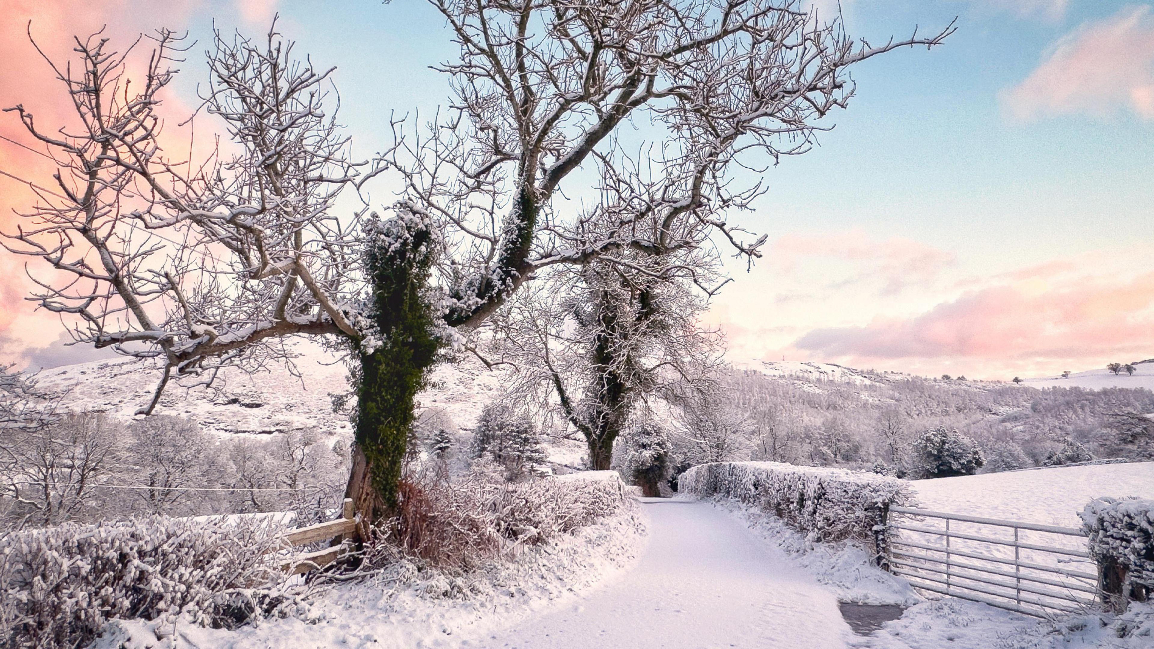 Has it snowed where you live? - BBC Newsround