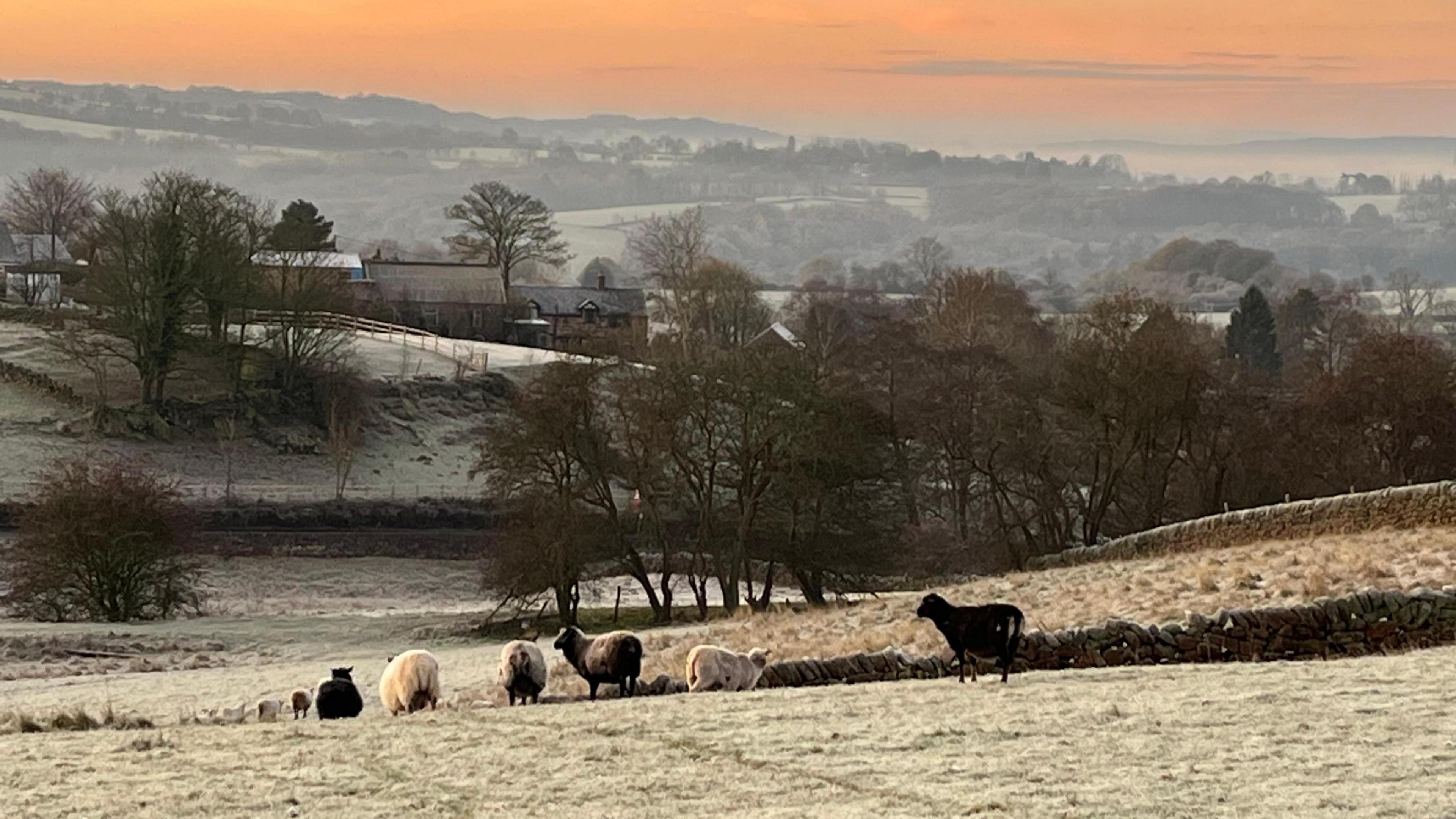 Snow and ice Met Office weather warning issued for West Midlands - BBC News