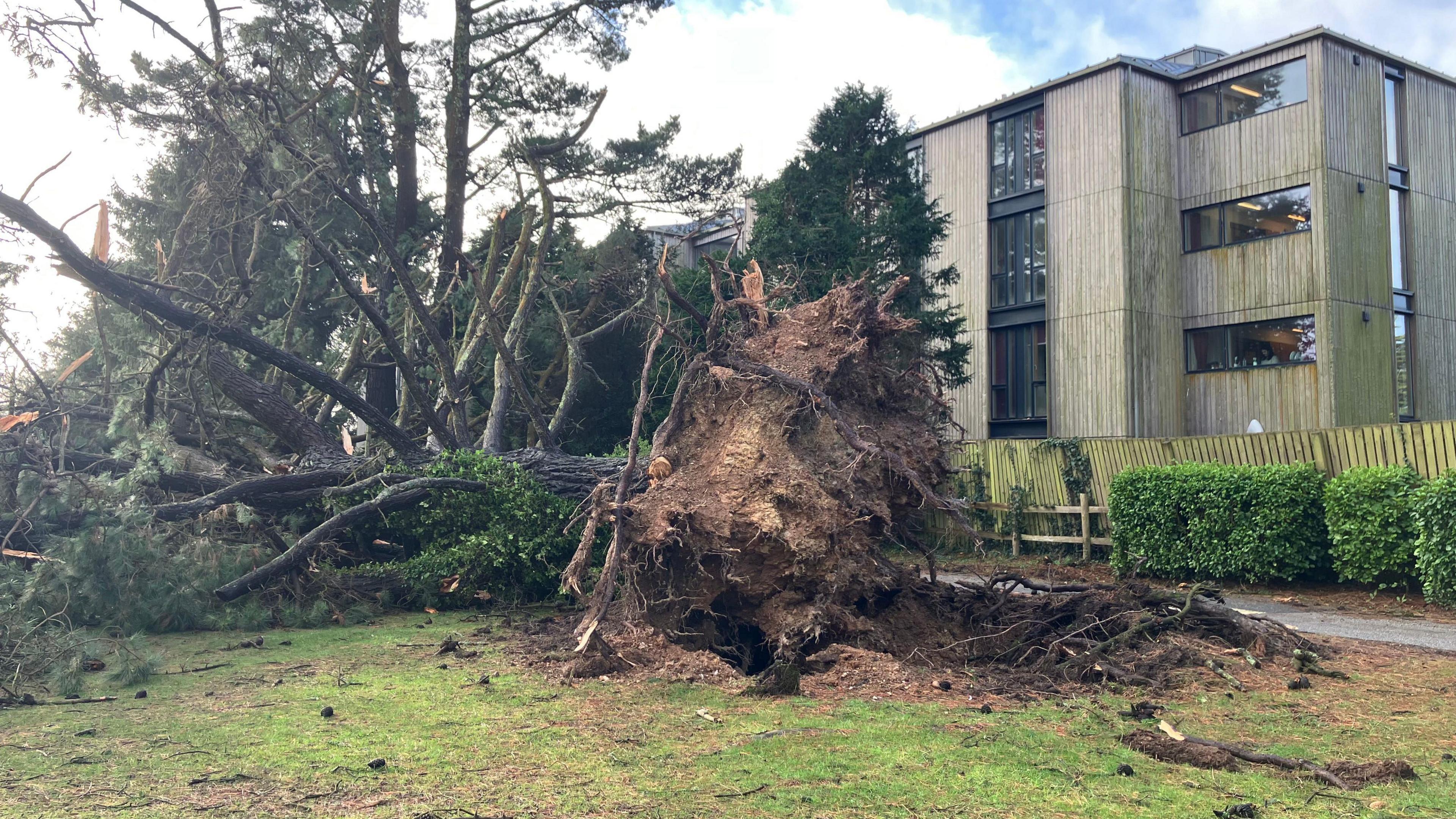 Storm Goretti: Truro Golf Club 'closed for foreseeable' - BBC News
