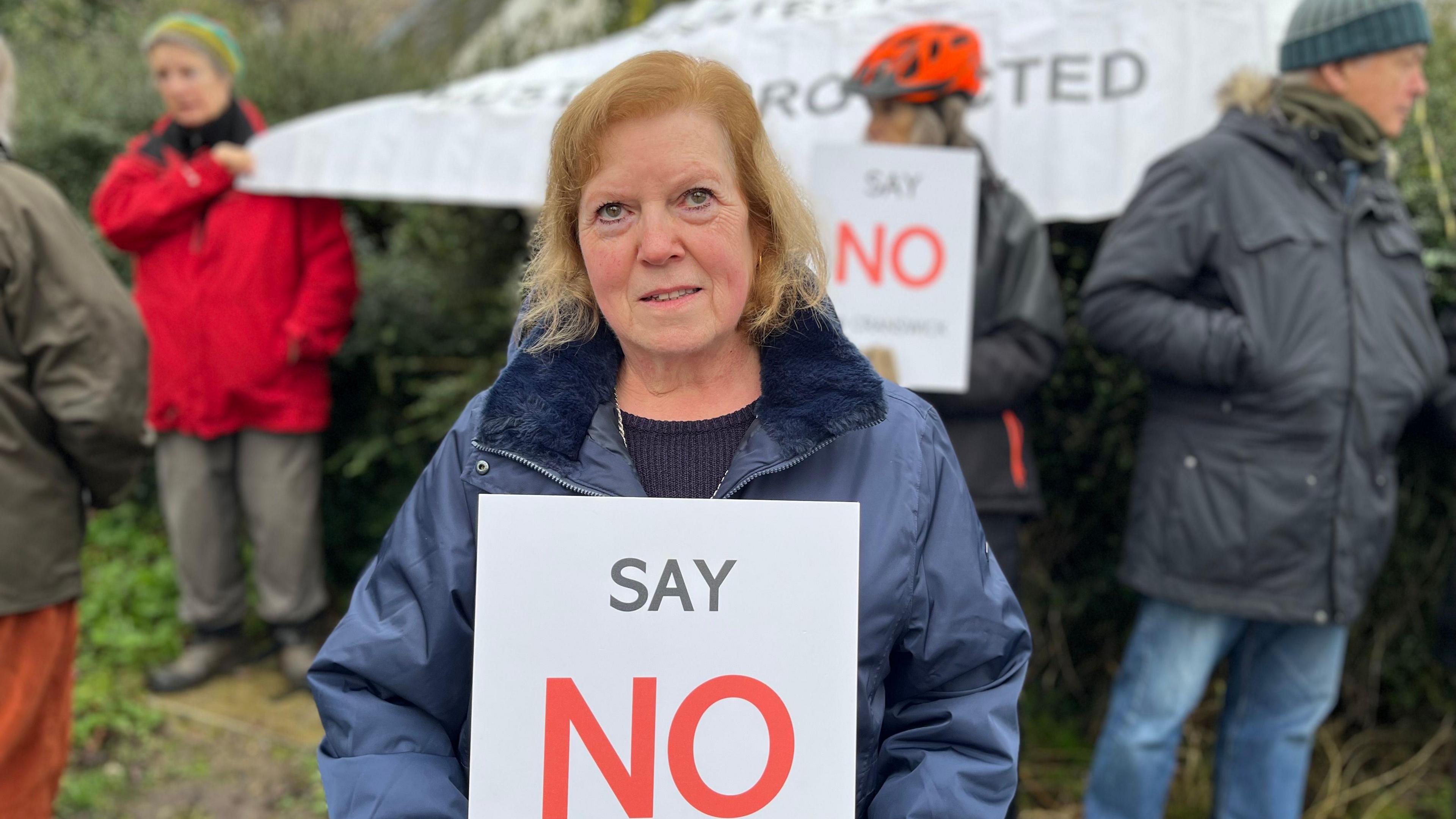 Thelnetham villagers consider legal action over chicken farm - BBC News