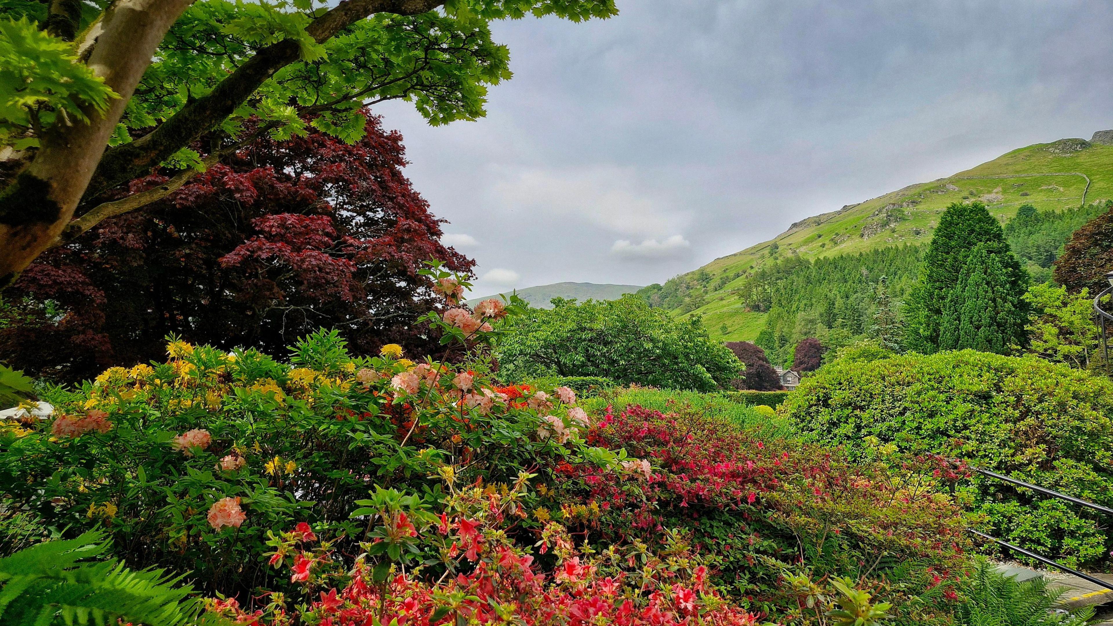 North East and Cumbria Weather Watcher pictures after hot week - BBC News