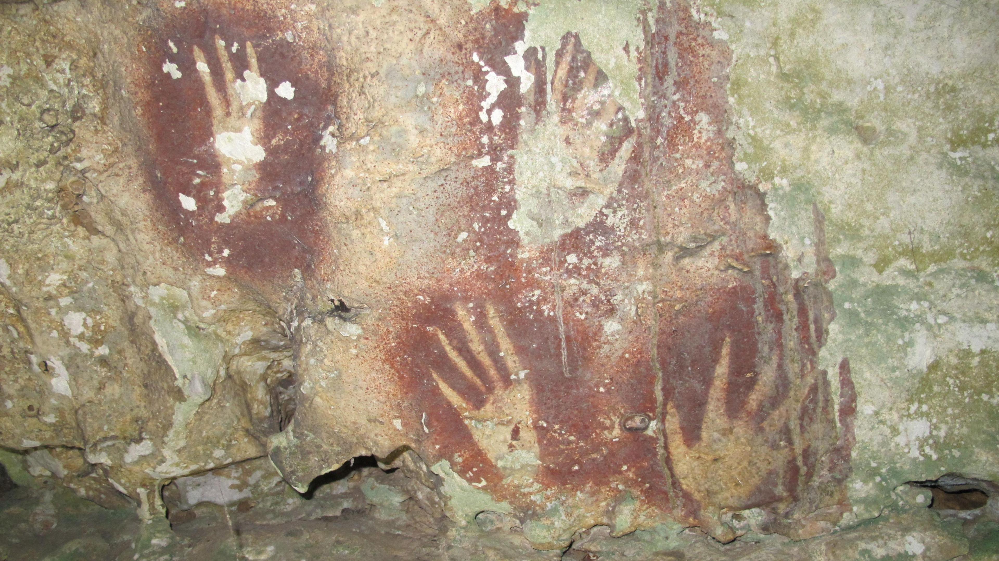 Oldest cave painting could rewrite origins of human creativity - BBC News