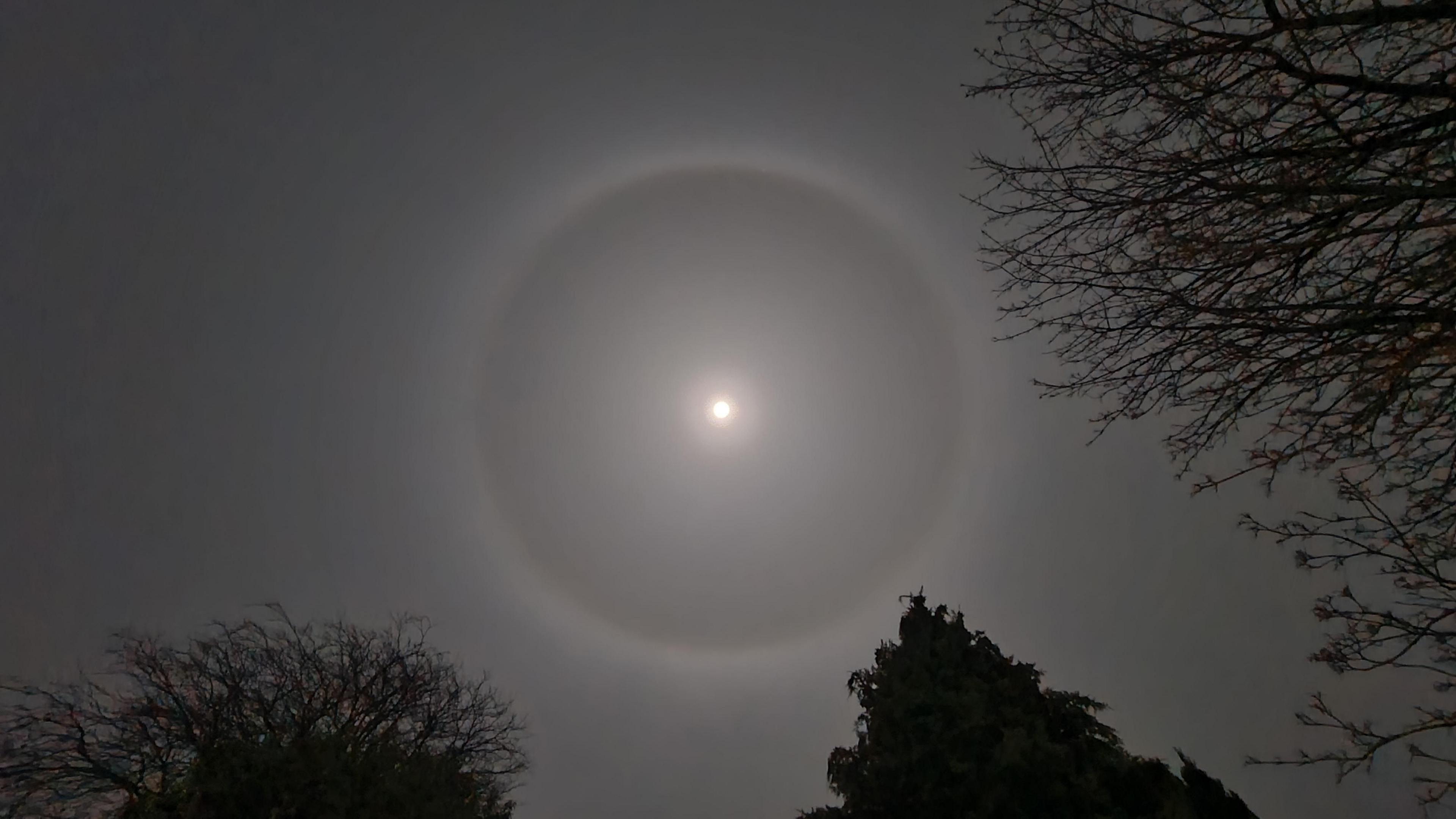 In pictures: Cold Moon over Scotland - BBC News