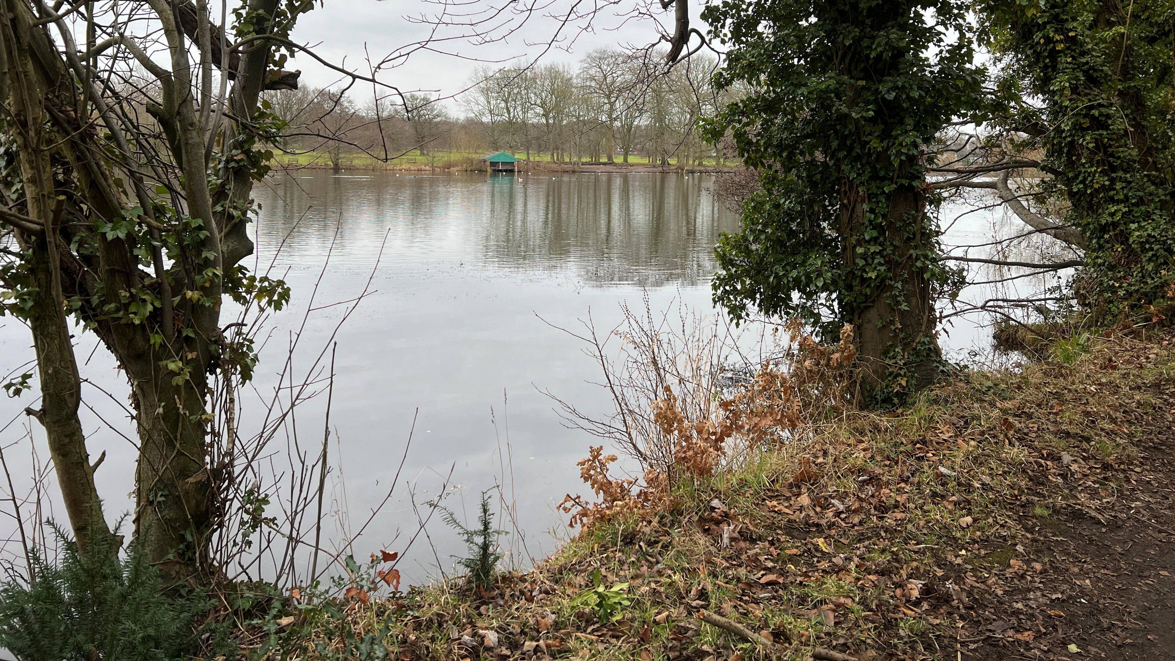Poynton Pool: Planned removal of trees from beauty spot rejected - BBC News