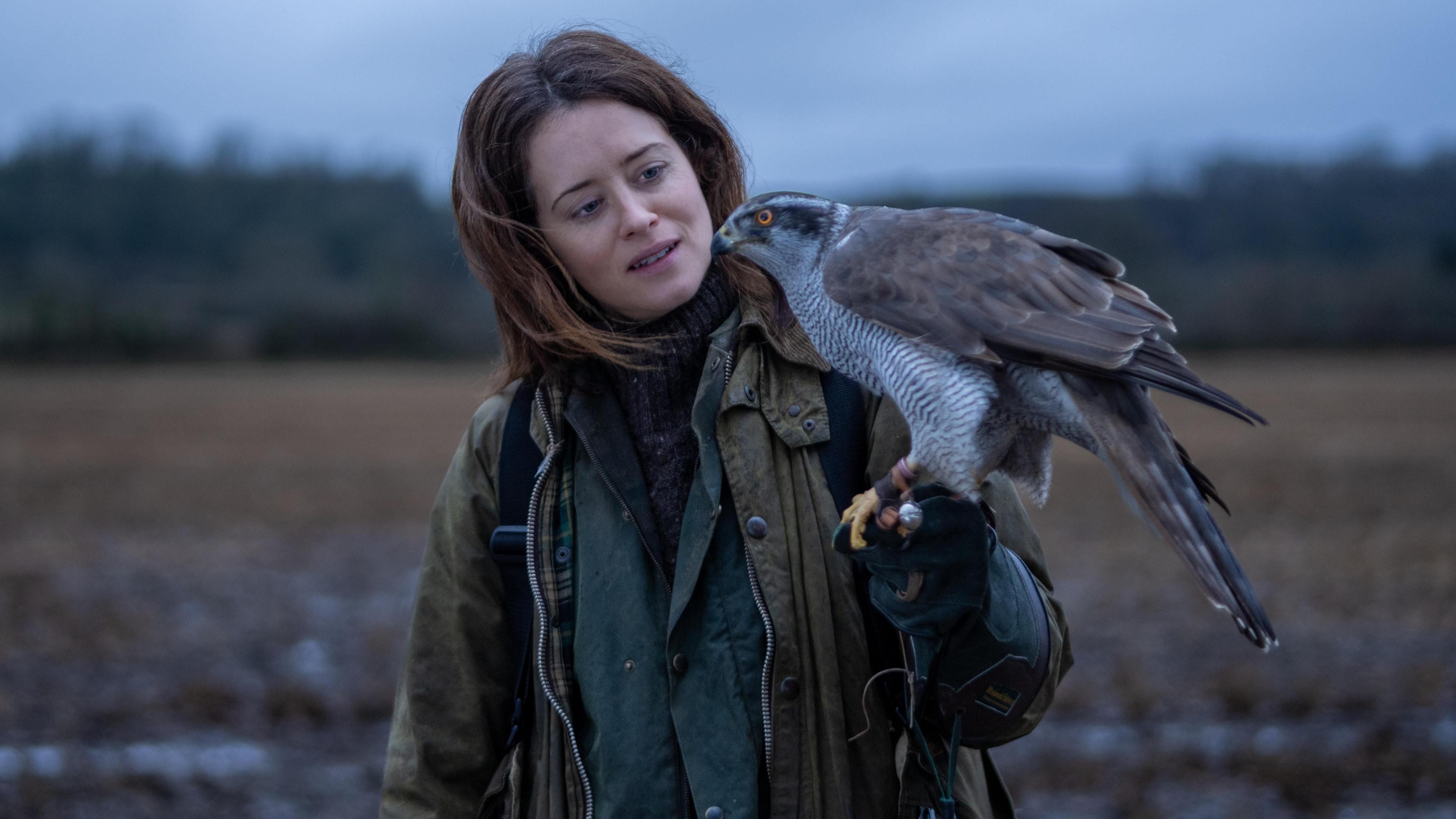 H is for Hawk: The 'secretive' Goshawks starring in Hollywood film ...