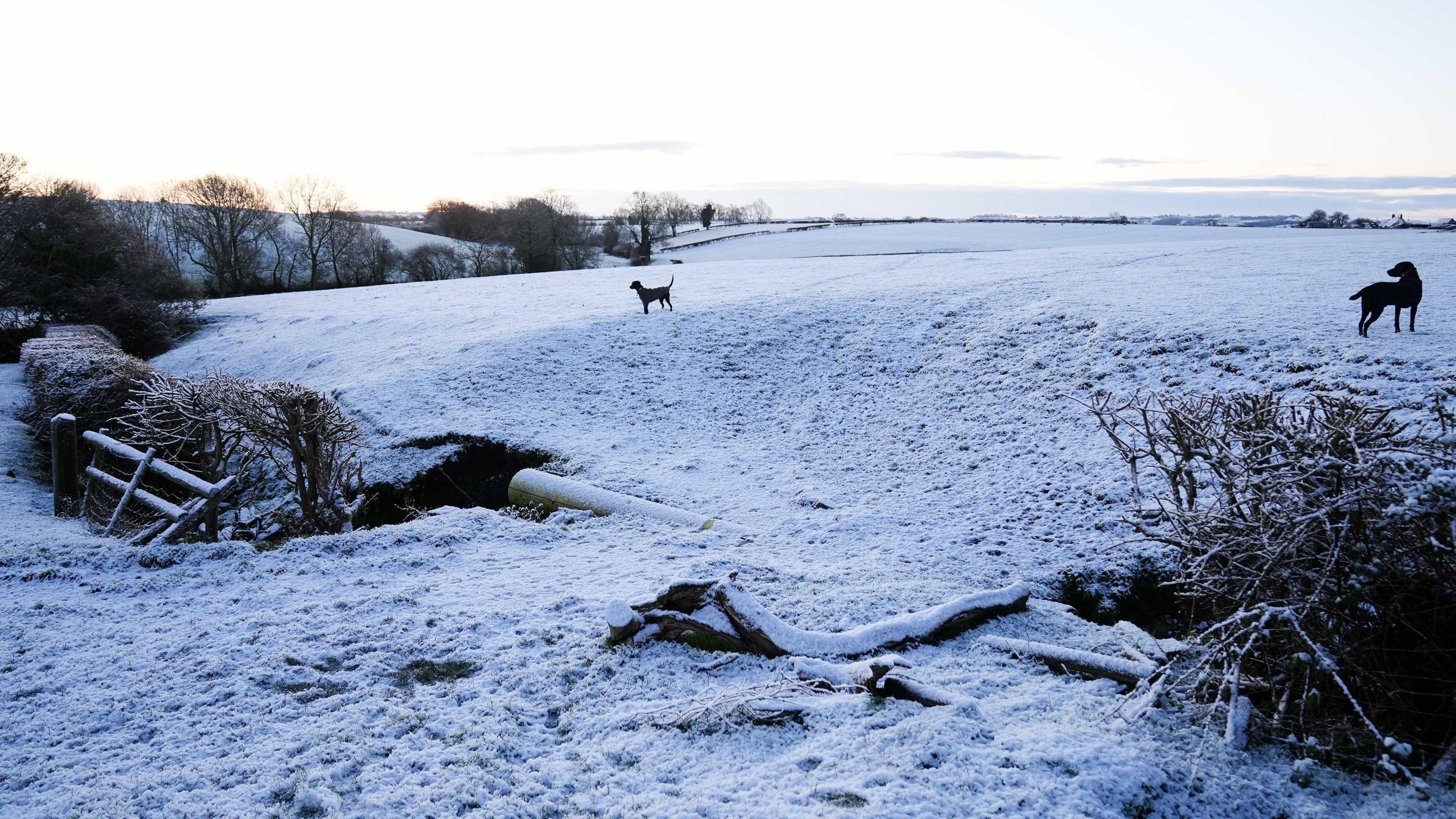 Has it snowed where you live? - BBC Newsround