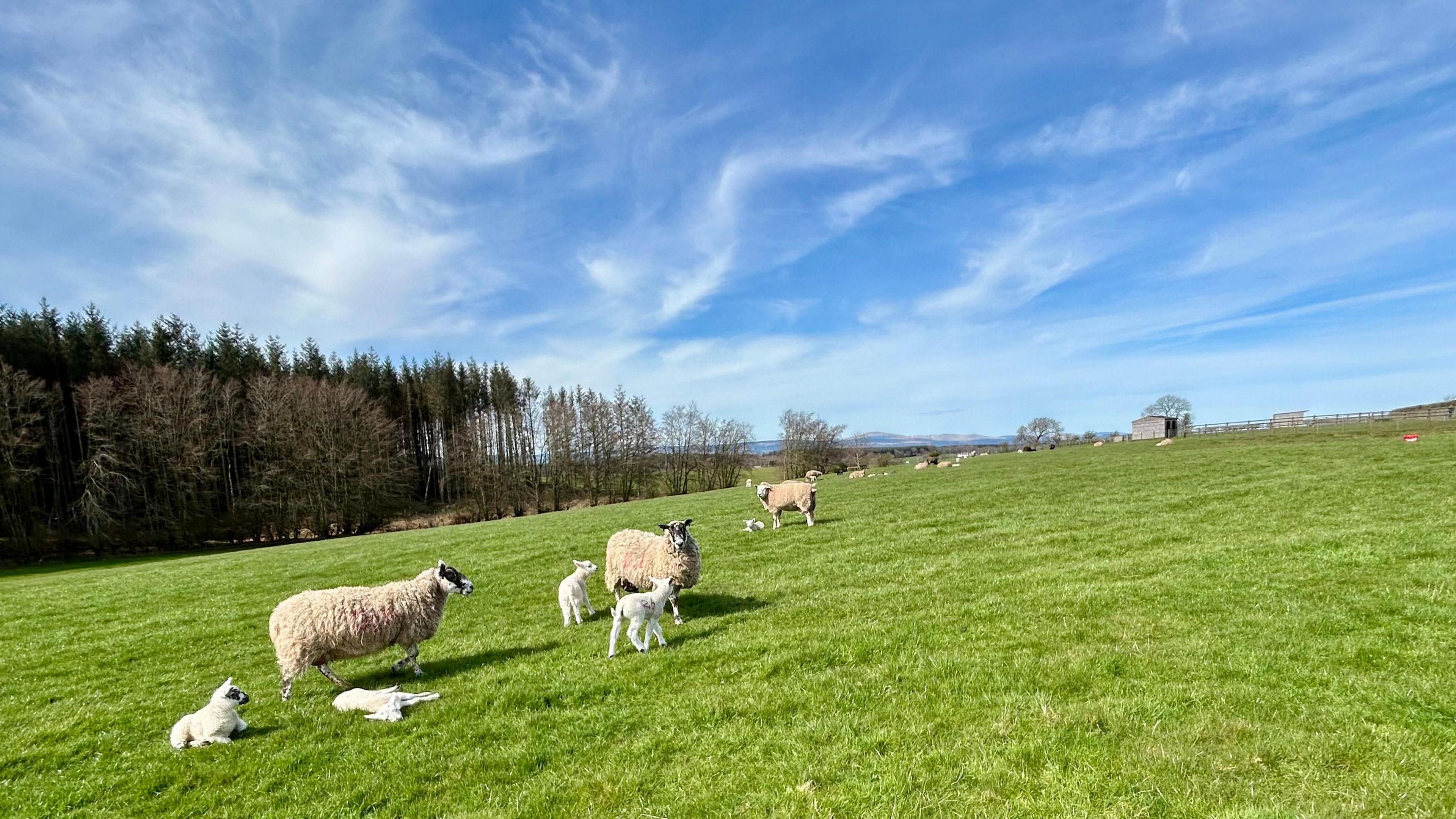 Scotland's hottest day of 2026 just two days after Storm Dave snowfall ...
