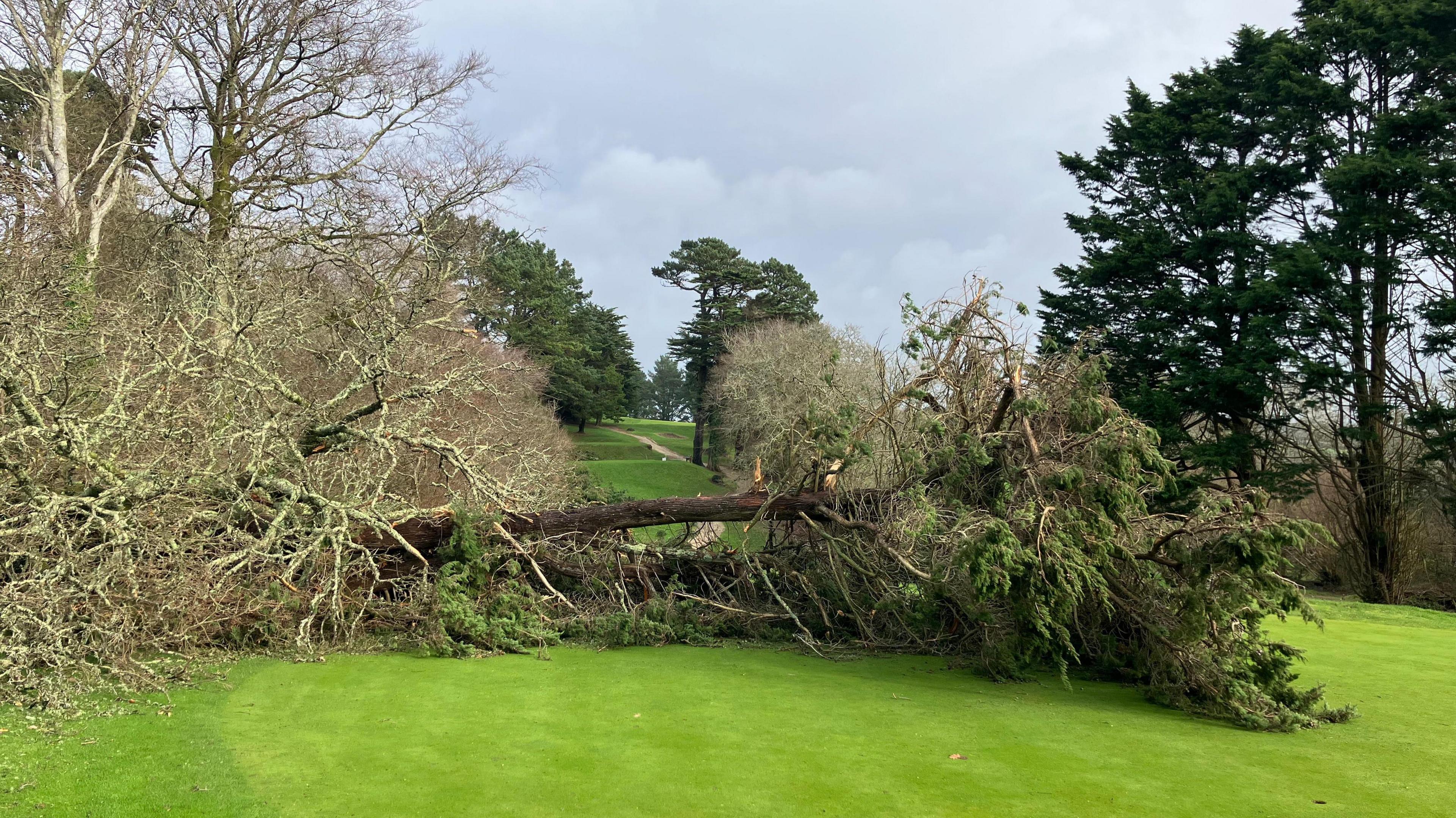 Storm Goretti: Truro Golf Club 'closed for foreseeable' - BBC News